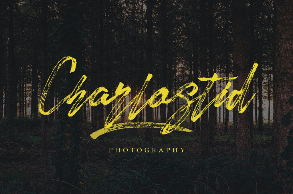 Bettlunerd Cursive Script Font – MasterBundles