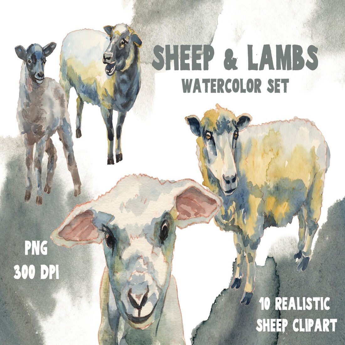 Sheep & Lambs Watercolor Set – MasterBundles
