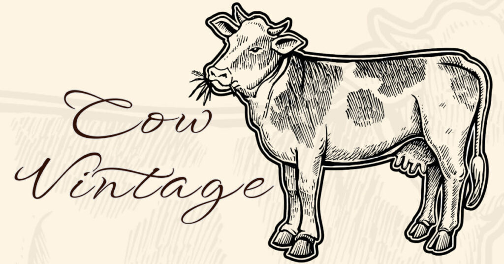 Cow Vintage Illustration – MasterBundles