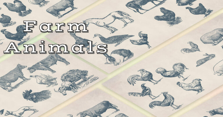 55 Vintage Farm Animals – MasterBundles