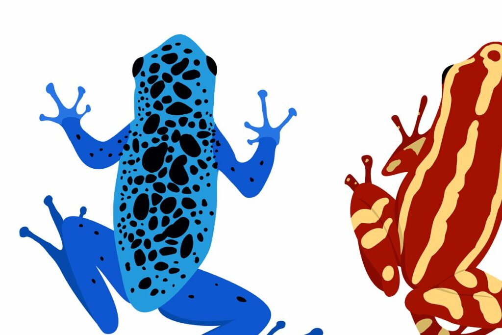 Set Of Different Frogs, Flat Design – MasterBundles