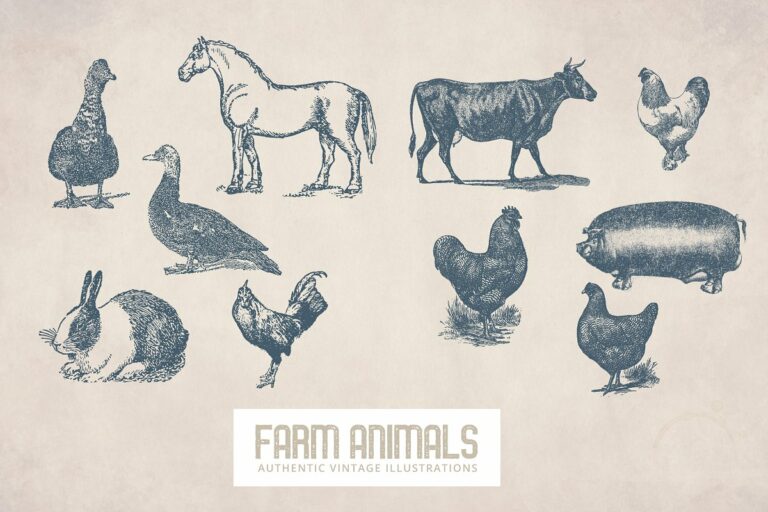 55 Vintage Farm Animals – MasterBundles