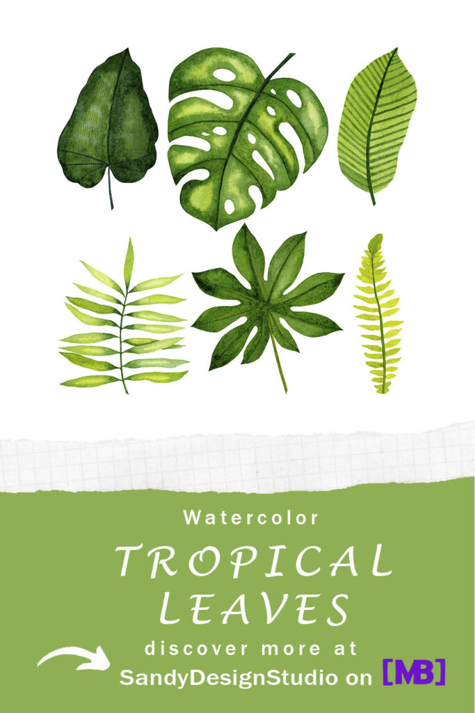 Watercolor Tropical Leaves Clipart PNG - MasterBundles