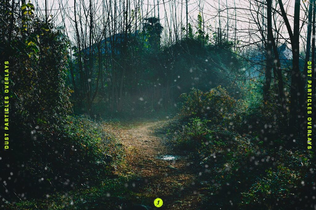 50 Dust Particles Photo Overlays – MasterBundles