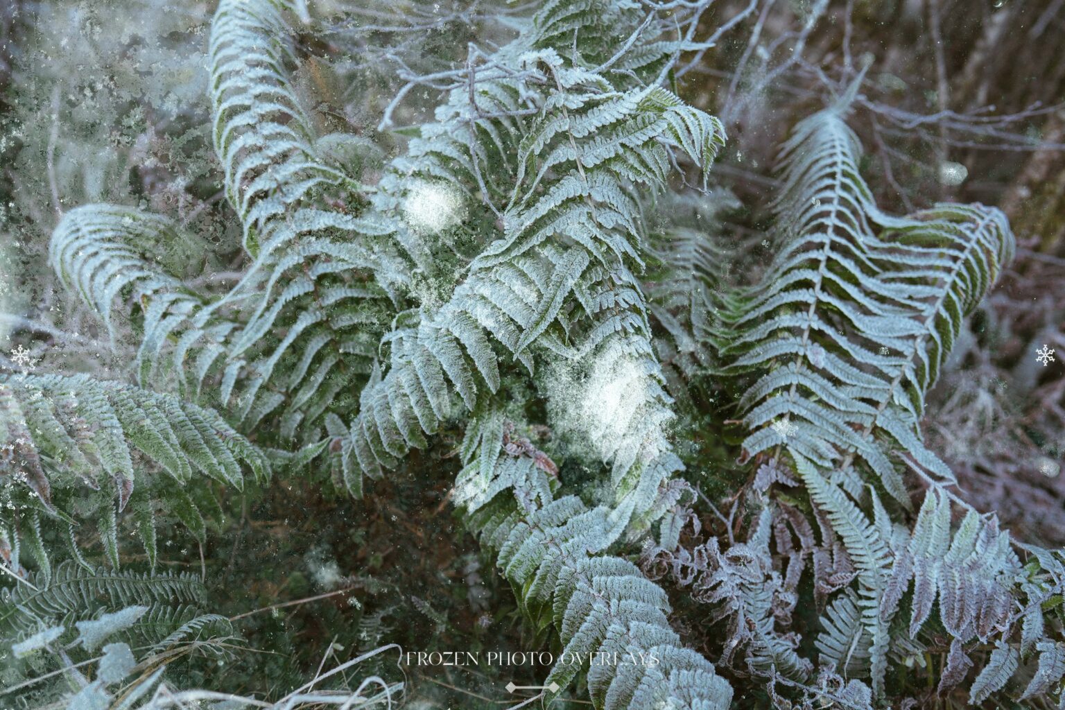 Frozen Photo Overlays – MasterBundles