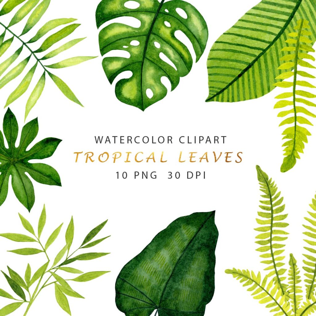 Watercolor Tropical Leaves Clipart PNG - MasterBundles