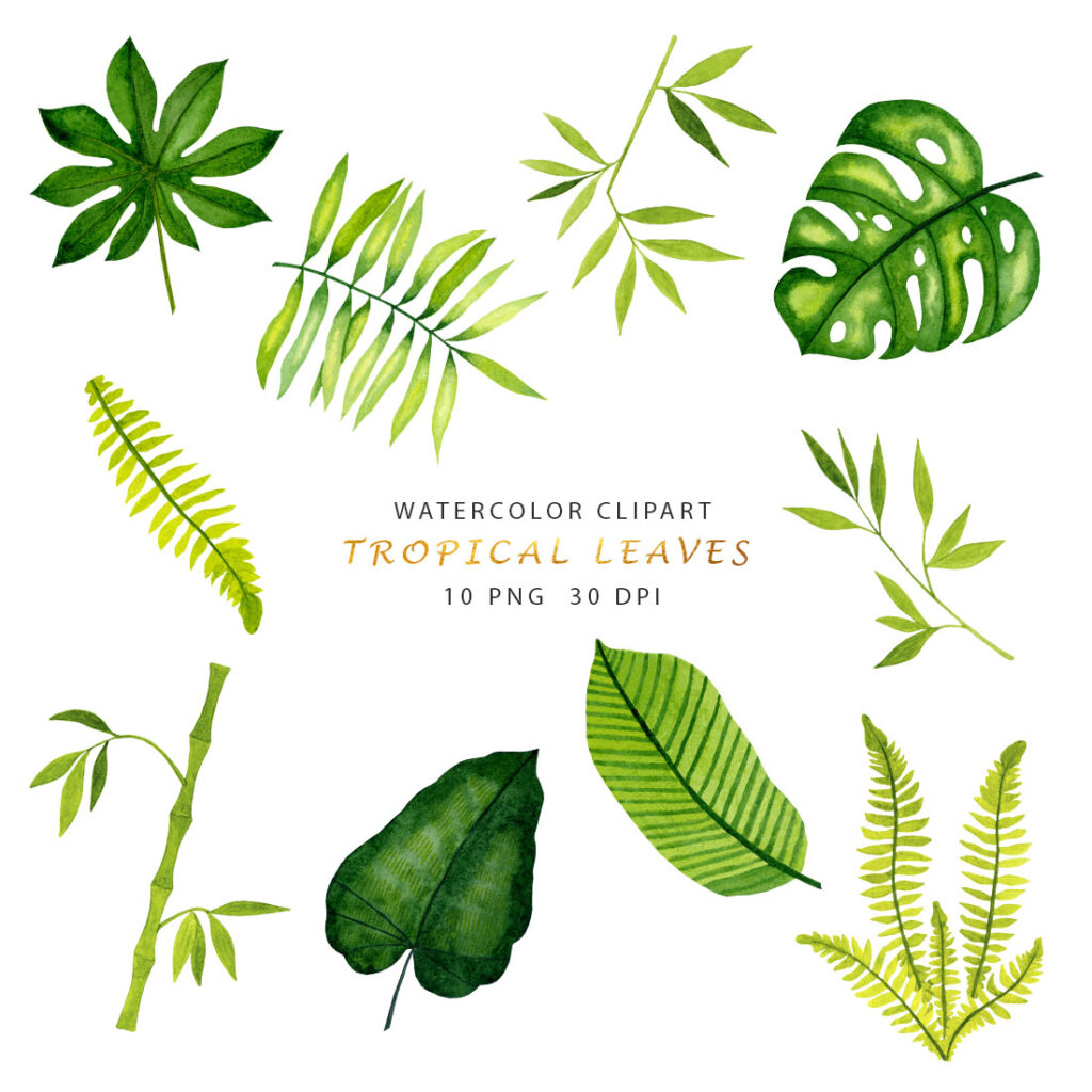 Watercolor Tropical Leaves Clipart PNG - MasterBundles