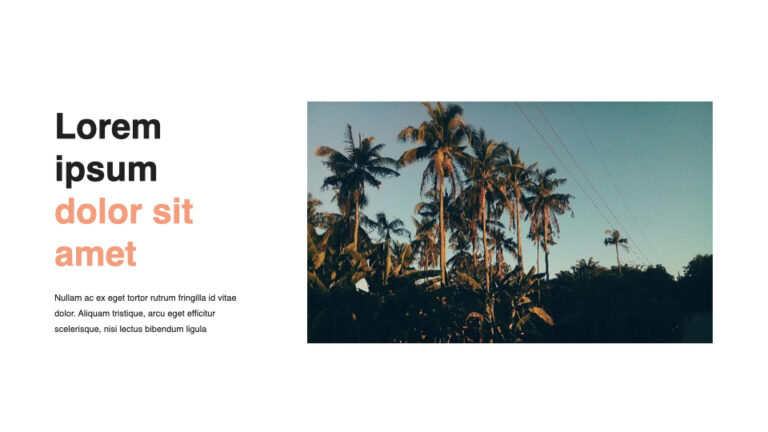 Tropical Presentation: 50 Slides PPTX, KEY, Google Slides – MasterBundles