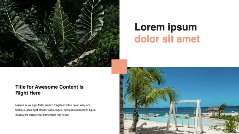 Tropical Presentation: 50 Slides PPTX, KEY, Google Slides – MasterBundles