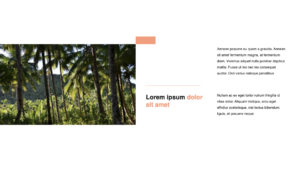 Tropical Presentation: 50 Slides PPTX, KEY, Google Slides – MasterBundles