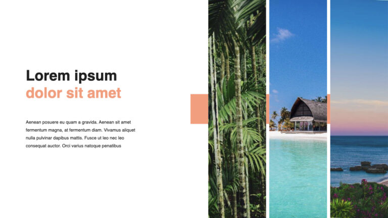 Tropical Presentation: 50 Slides PPTX, KEY, Google Slides – MasterBundles