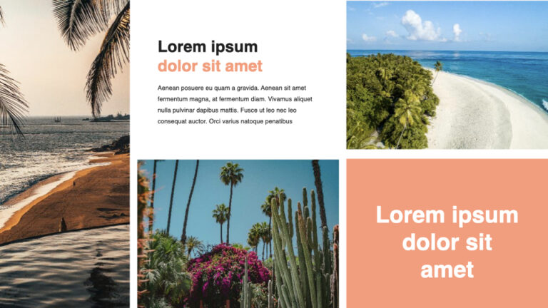 Tropical Presentation: 50 Slides PPTX, KEY, Google Slides – MasterBundles