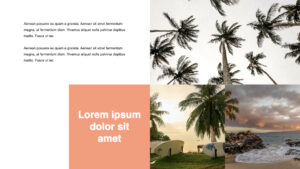 Tropical Presentation: 50 Slides PPTX, KEY, Google Slides – MasterBundles