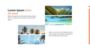 Tropical Presentation: 50 Slides PPTX, KEY, Google Slides – MasterBundles