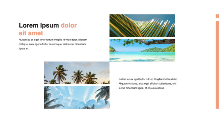 Tropical Presentation: 50 Slides PPTX, KEY, Google Slides – MasterBundles