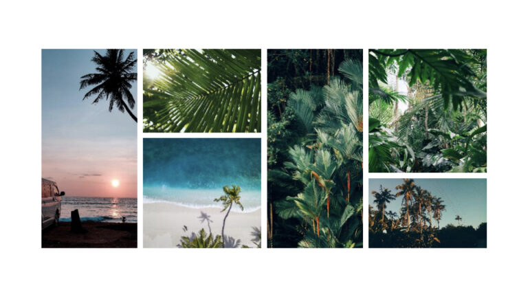 Tropical Presentation: 50 Slides PPTX, KEY, Google Slides – MasterBundles