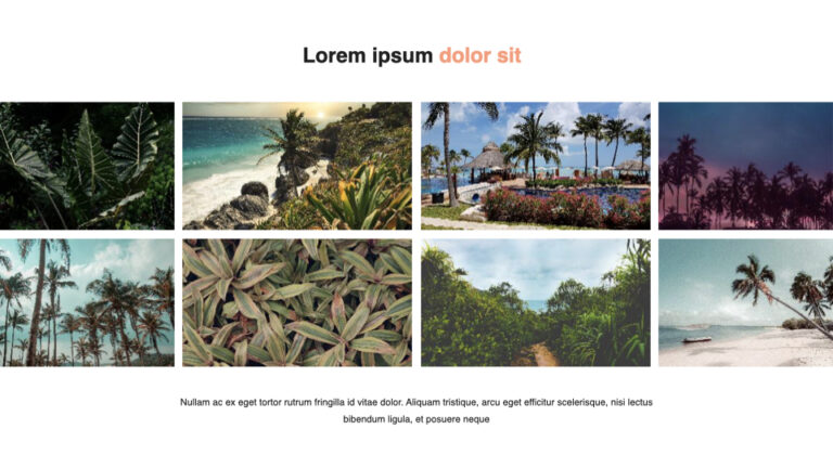 Tropical Presentation: 50 Slides PPTX, KEY, Google Slides – MasterBundles