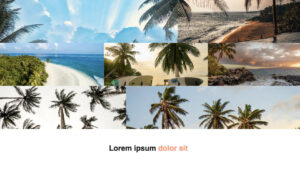 Tropical Presentation: 50 Slides PPTX, KEY, Google Slides – MasterBundles