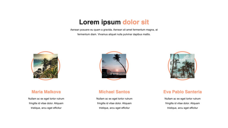 Tropical Presentation: 50 Slides PPTX, KEY, Google Slides – MasterBundles