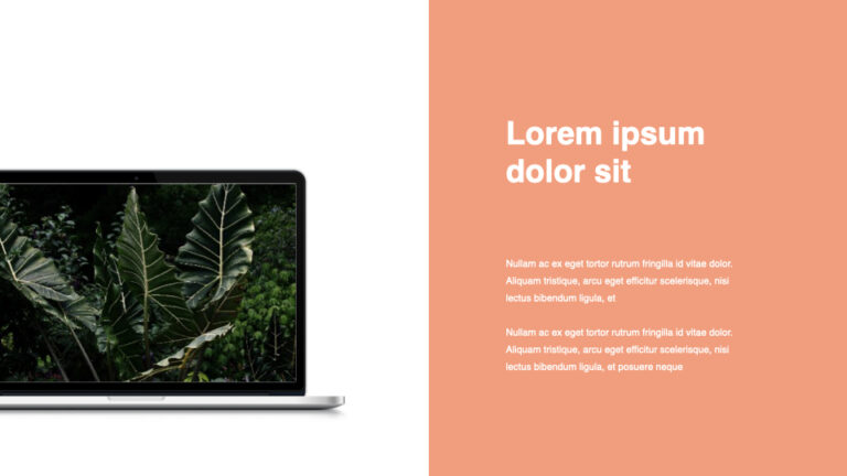 Tropical Presentation: 50 Slides PPTX, KEY, Google Slides – MasterBundles