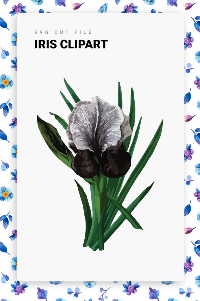 Iris Clipart SVG File – MasterBundles
