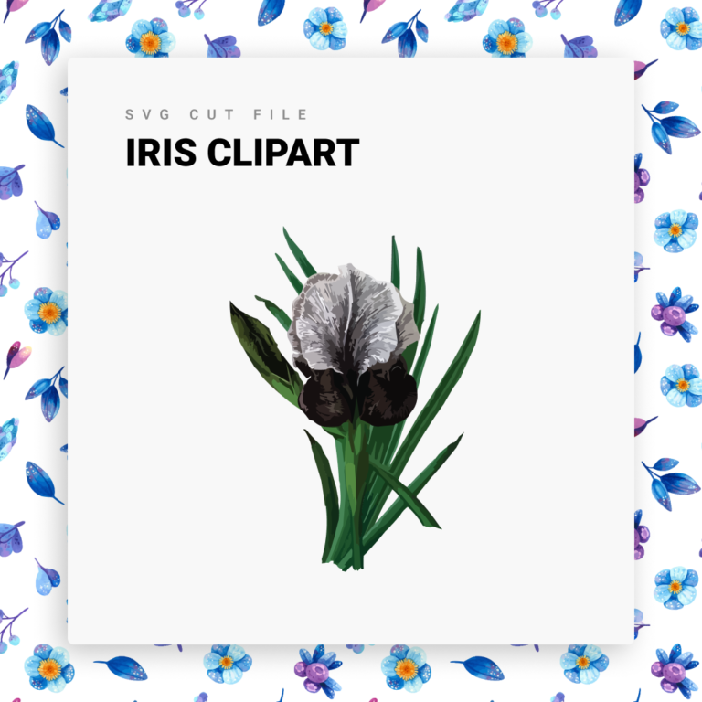 Iris Clipart SVG File – MasterBundles