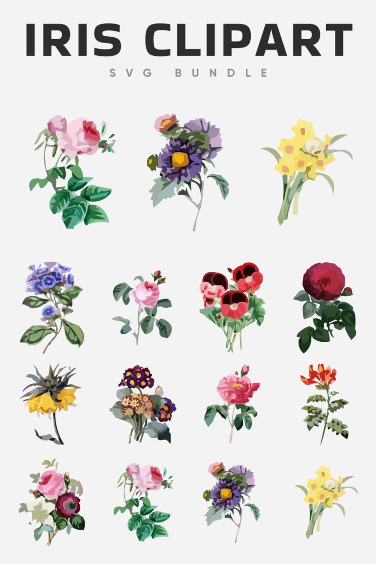Iris Clipart_V2 SVG Bundle – MasterBundles