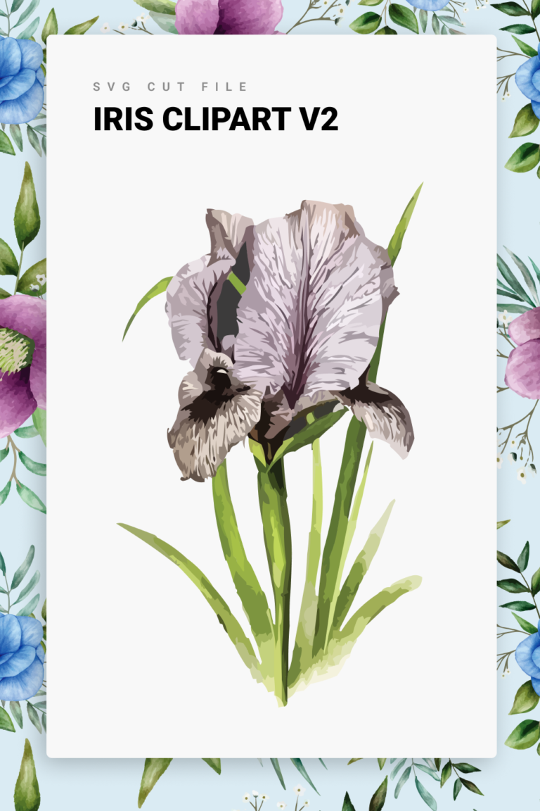 Iris Flower Clipart SVG – MasterBundles
