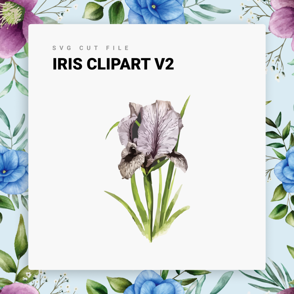 Iris Flower Clipart SVG – MasterBundles