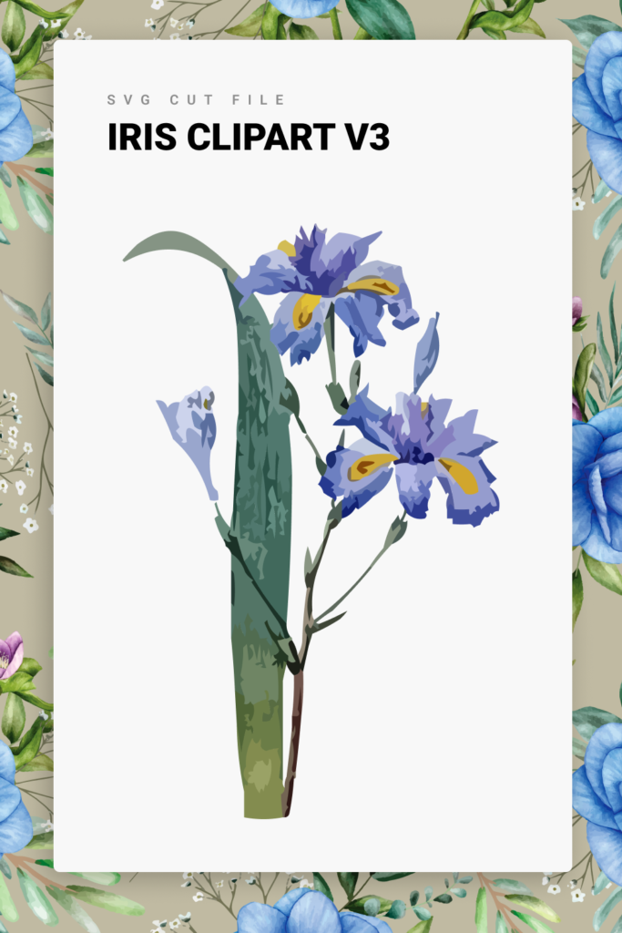 Iris Clipart SVG – MasterBundles