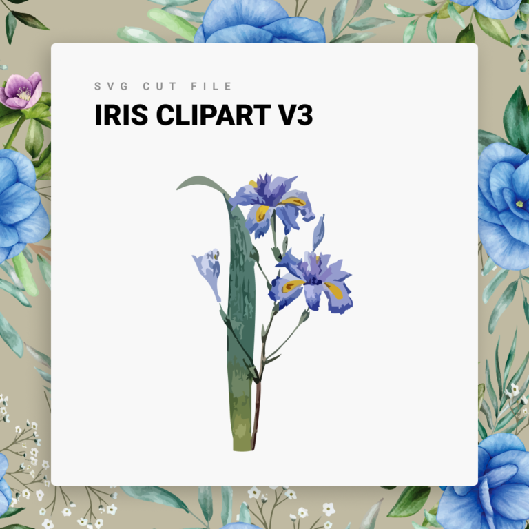 Iris Clipart SVG – MasterBundles