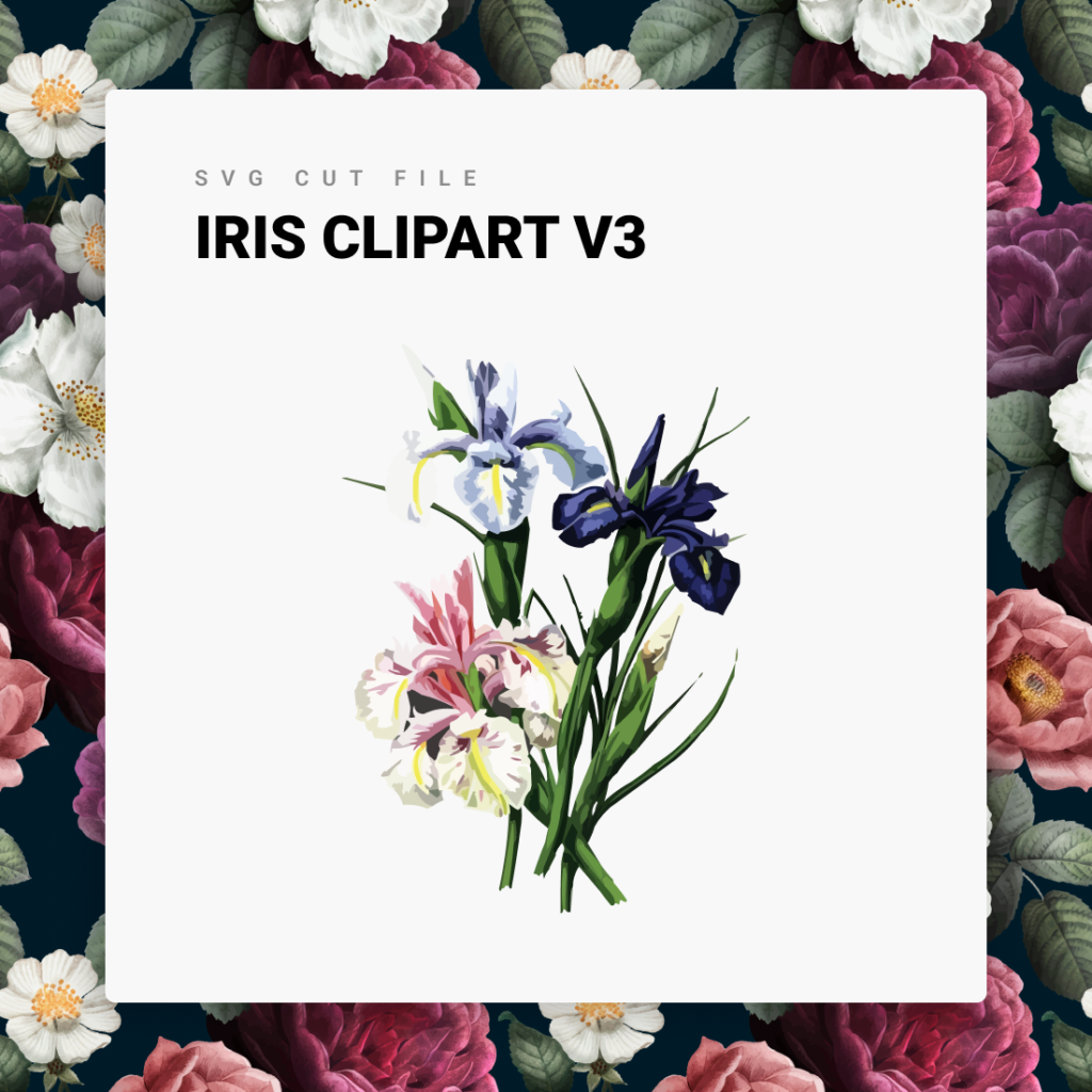Iris Clipart V3 SVG – MasterBundles
