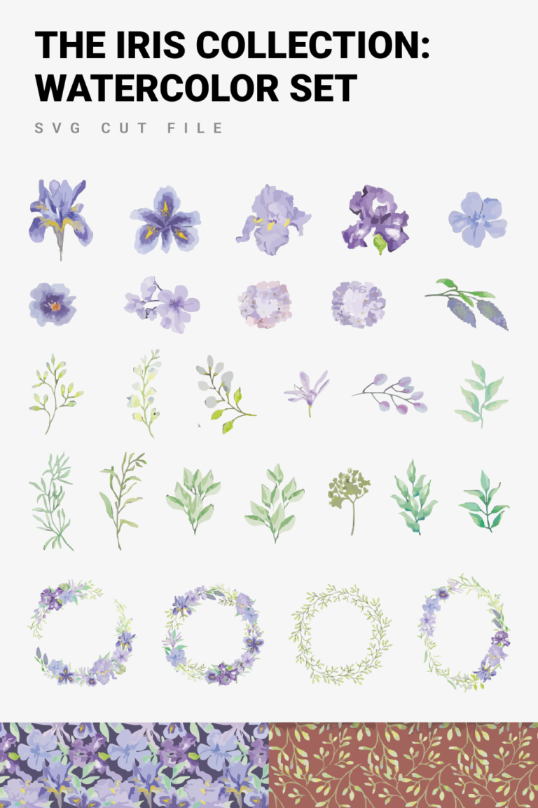 The Iris Collection Set SVG – MasterBundles