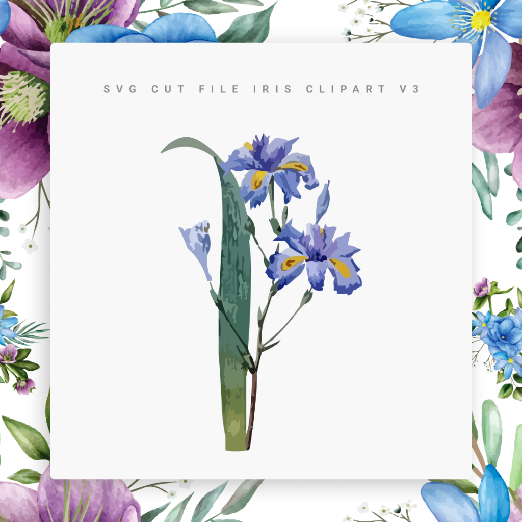 Iris Clipart SVG – MasterBundles