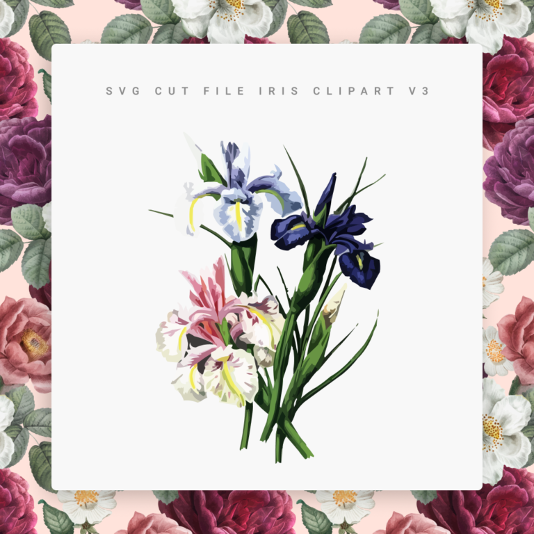 Iris Clipart V3 SVG – MasterBundles
