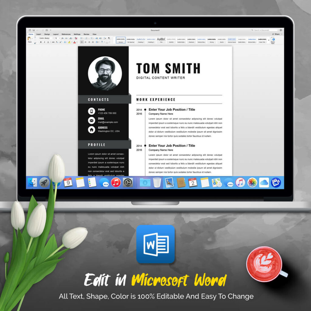 Digital Content Writer Resume - MasterBundles