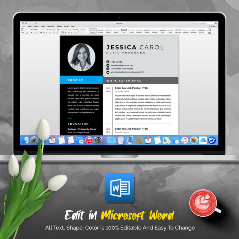 Music Producer Resume Template | Creative Resume Design - MasterBundles