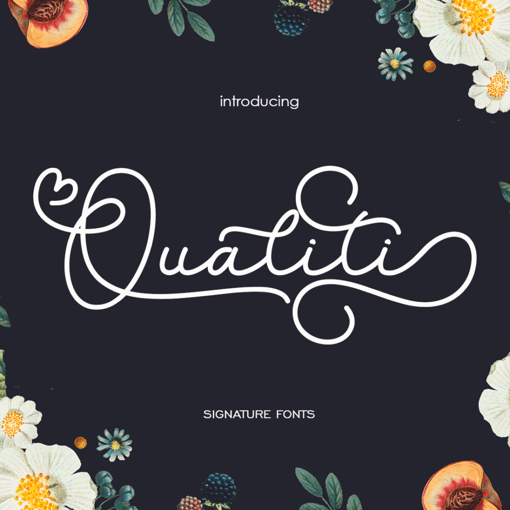 Qualiti Signature Font - MasterBundles