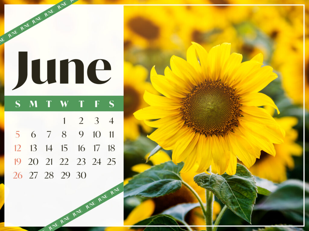 Sunflower Free June Calendar – MasterBundles