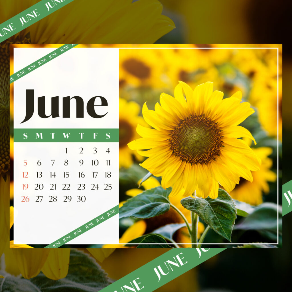 Free Watercolor Sunflower June Calendar – MasterBundles