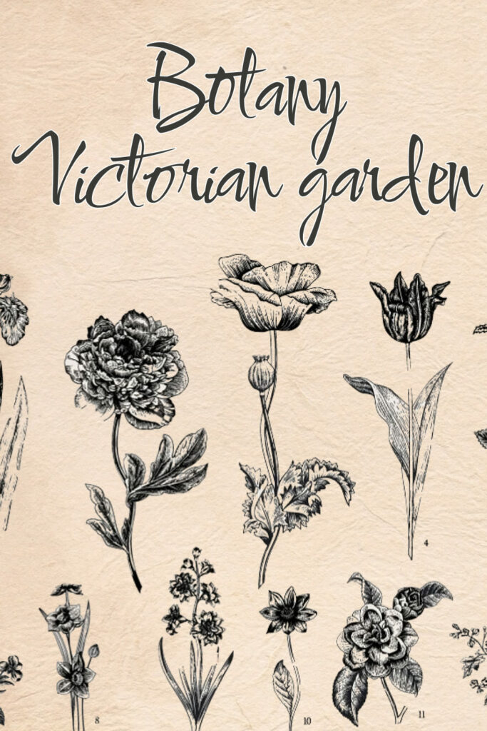 Botany Victorian Garden B&W – MasterBundles