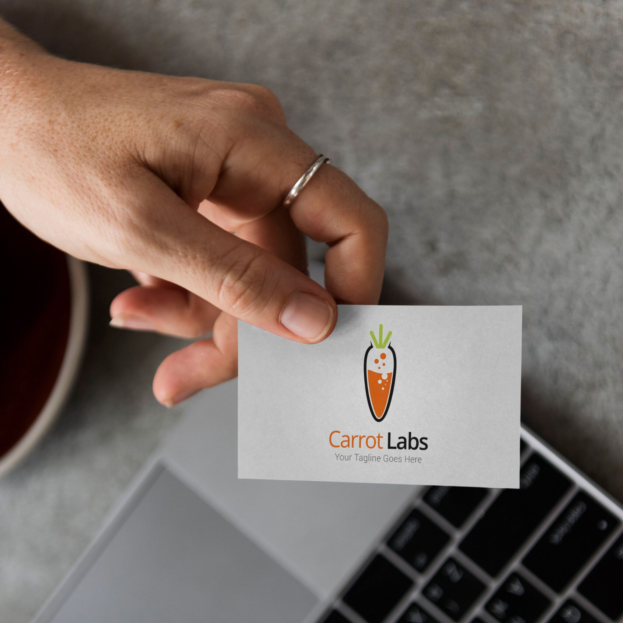 Carrot Labs Logo Template – MasterBundles