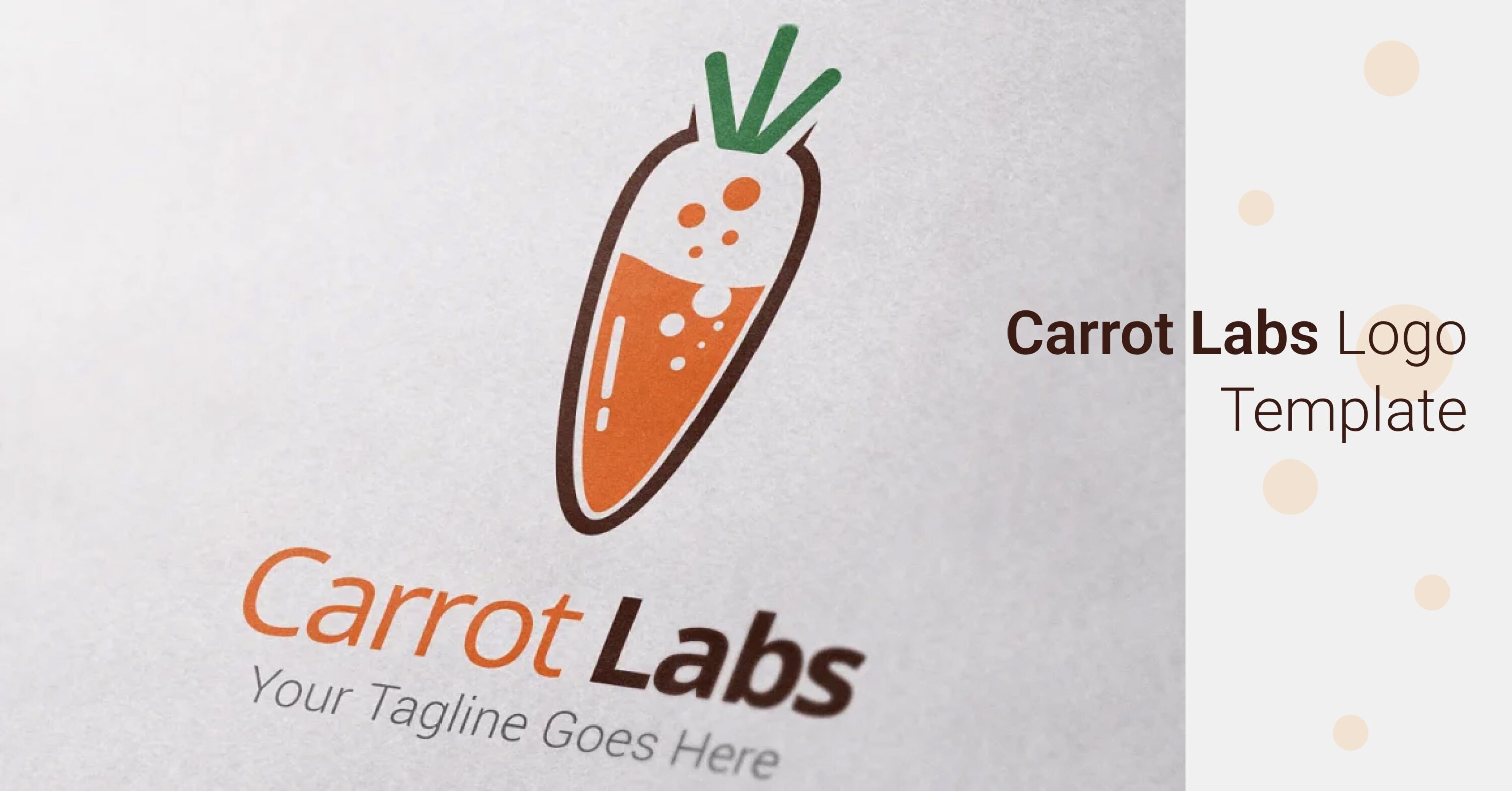 Carrot Labs Logo Template – MasterBundles