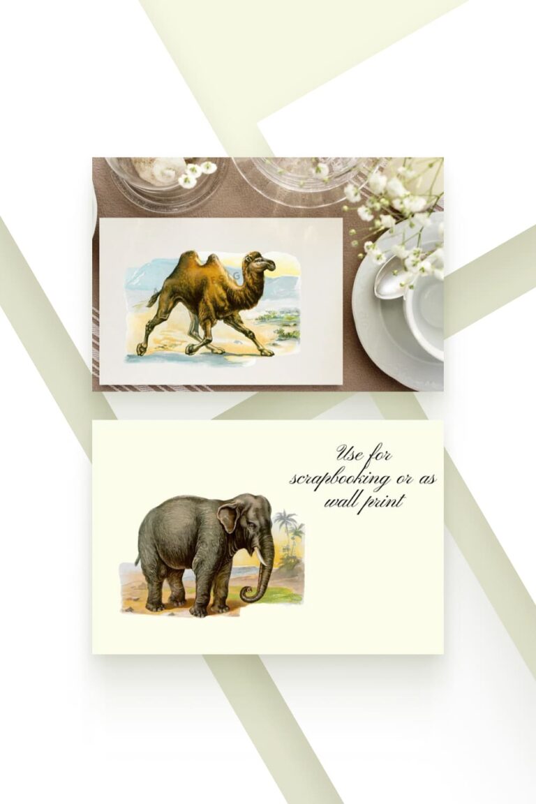 Antique Animal Clipart Set, Vintage Elephant Clipart Graphic ...