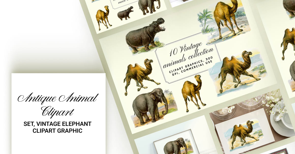 Antique Animal Clipart Set, Vintage Elephant Clipart Graphic ...