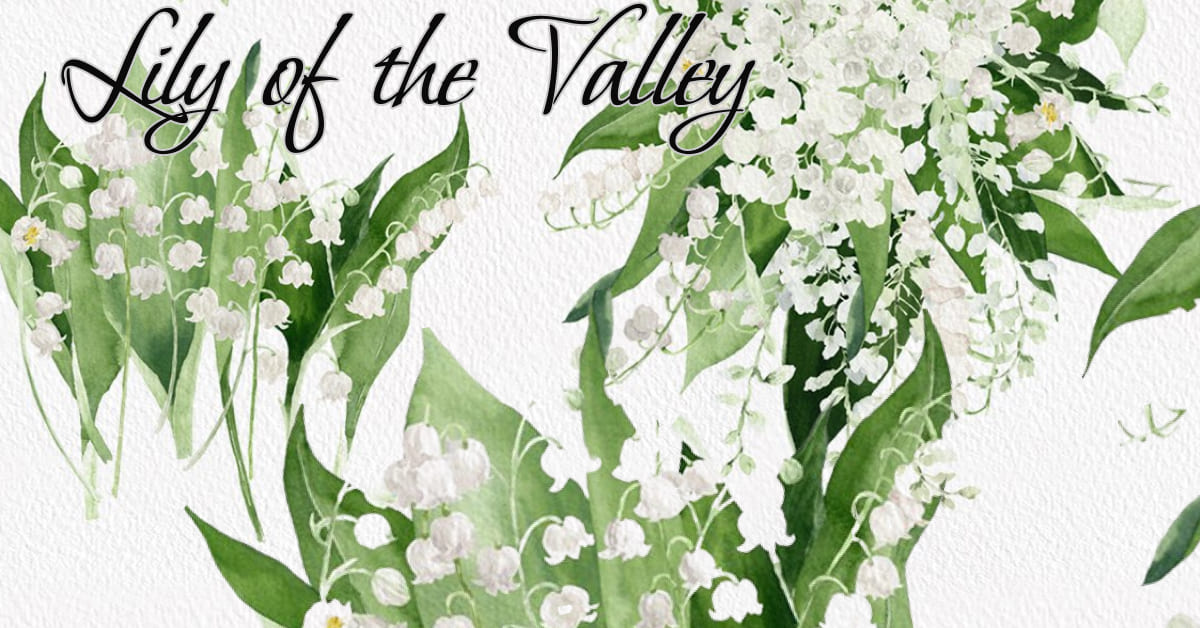 Lily of the Valley Watercolor – MasterBundles