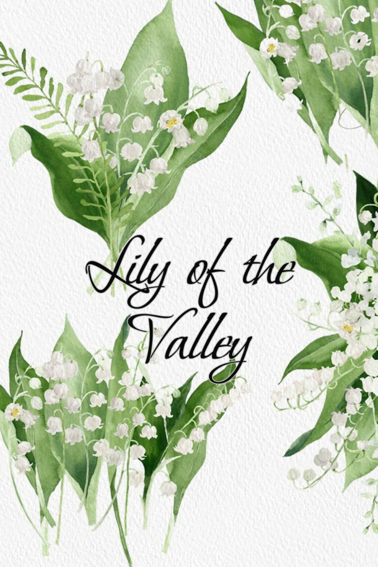 Lily of the Valley Watercolor – MasterBundles