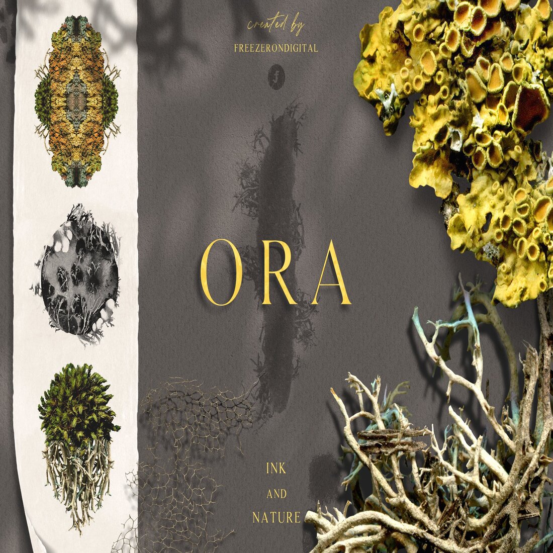 Ora - Ink & Nature Organic Graphics Collection – MasterBundles