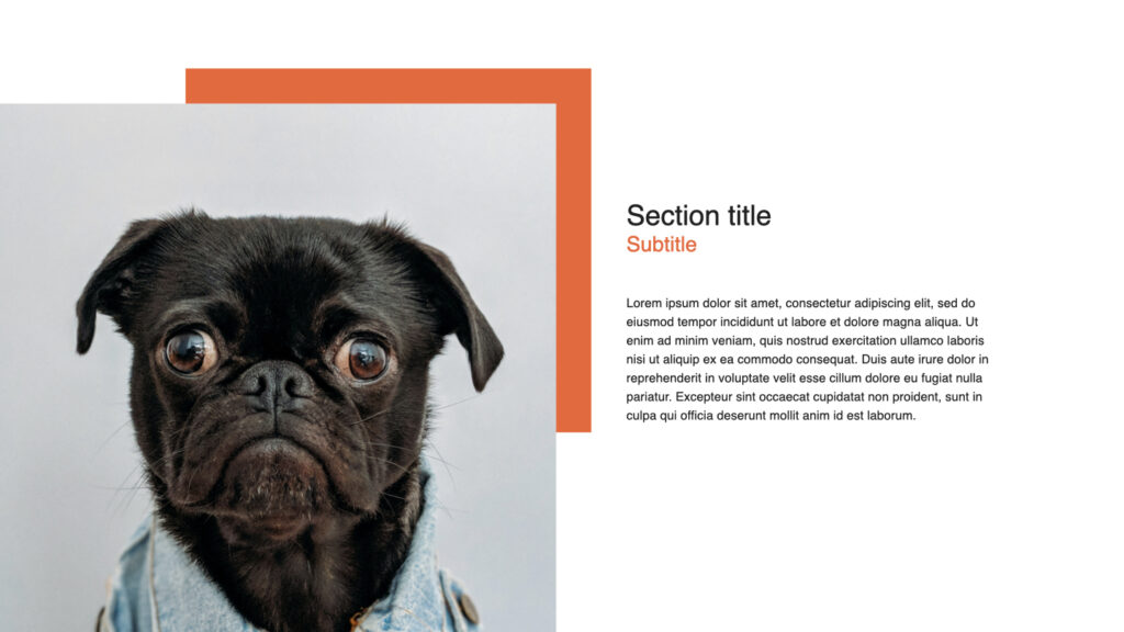 Pets PowerPoint Template – MasterBundles