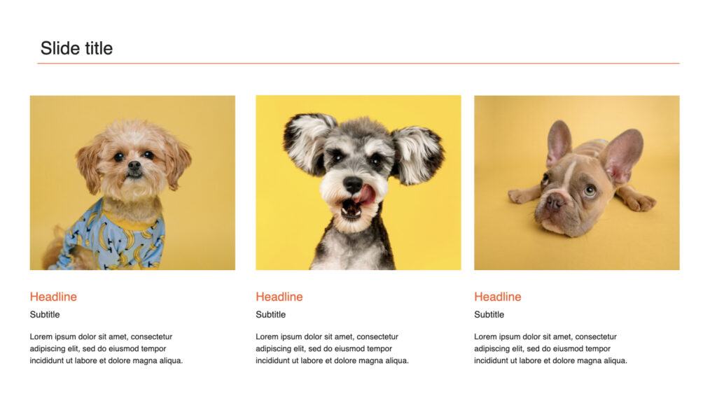 Pets PowerPoint Template – MasterBundles